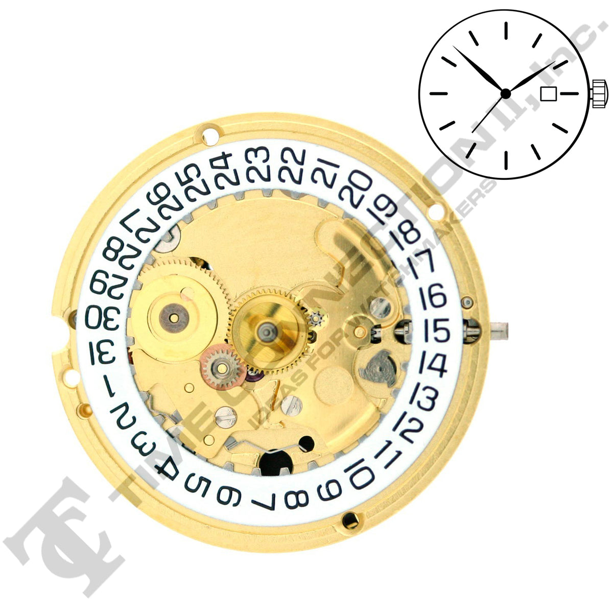 ETA 256.513 3 Hands Swiss Made Movement Ht. – Time Connection II, Inc