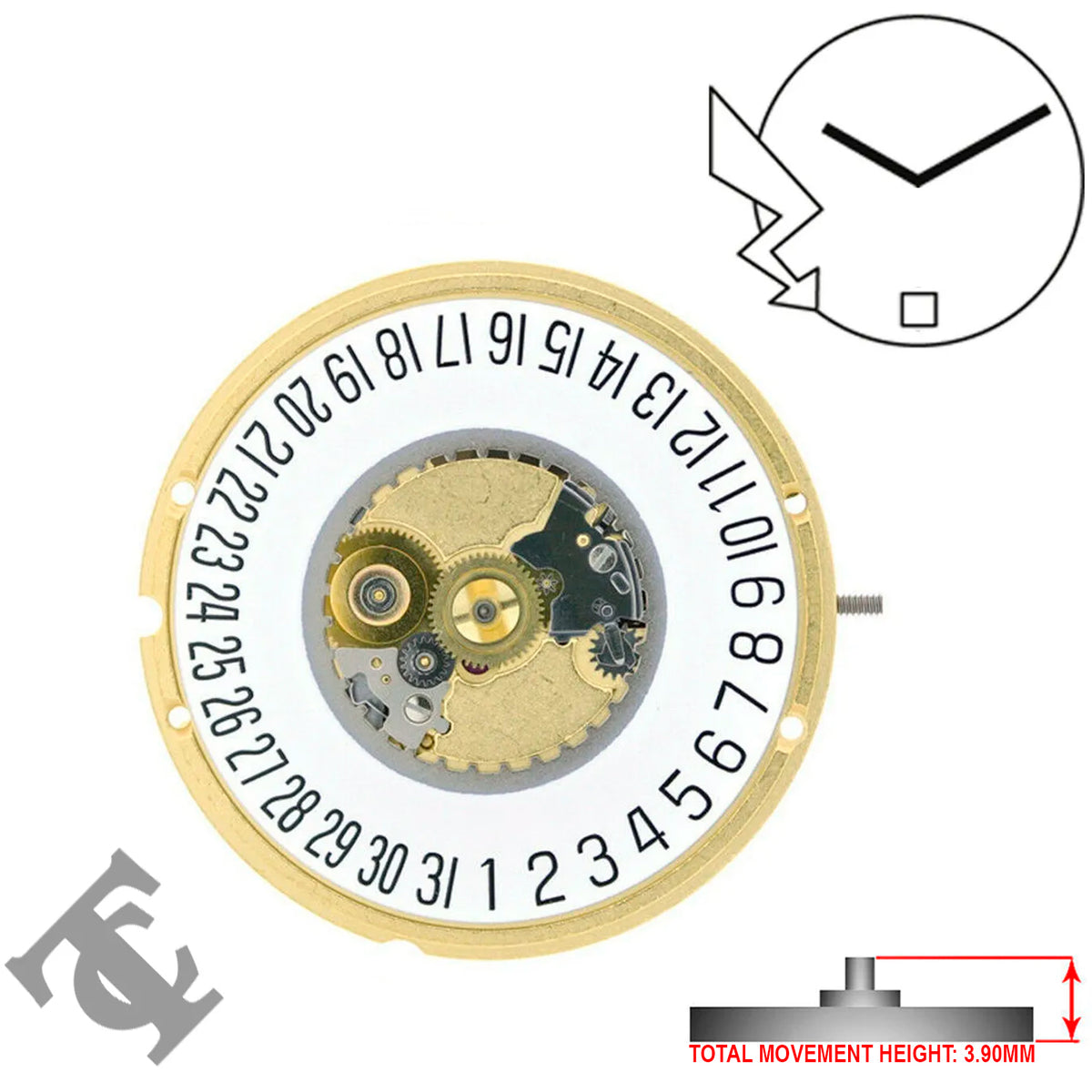 ETA 955.112 2 Hands Swiss Made Movement Ht. 3.60MM (Various Dates ...