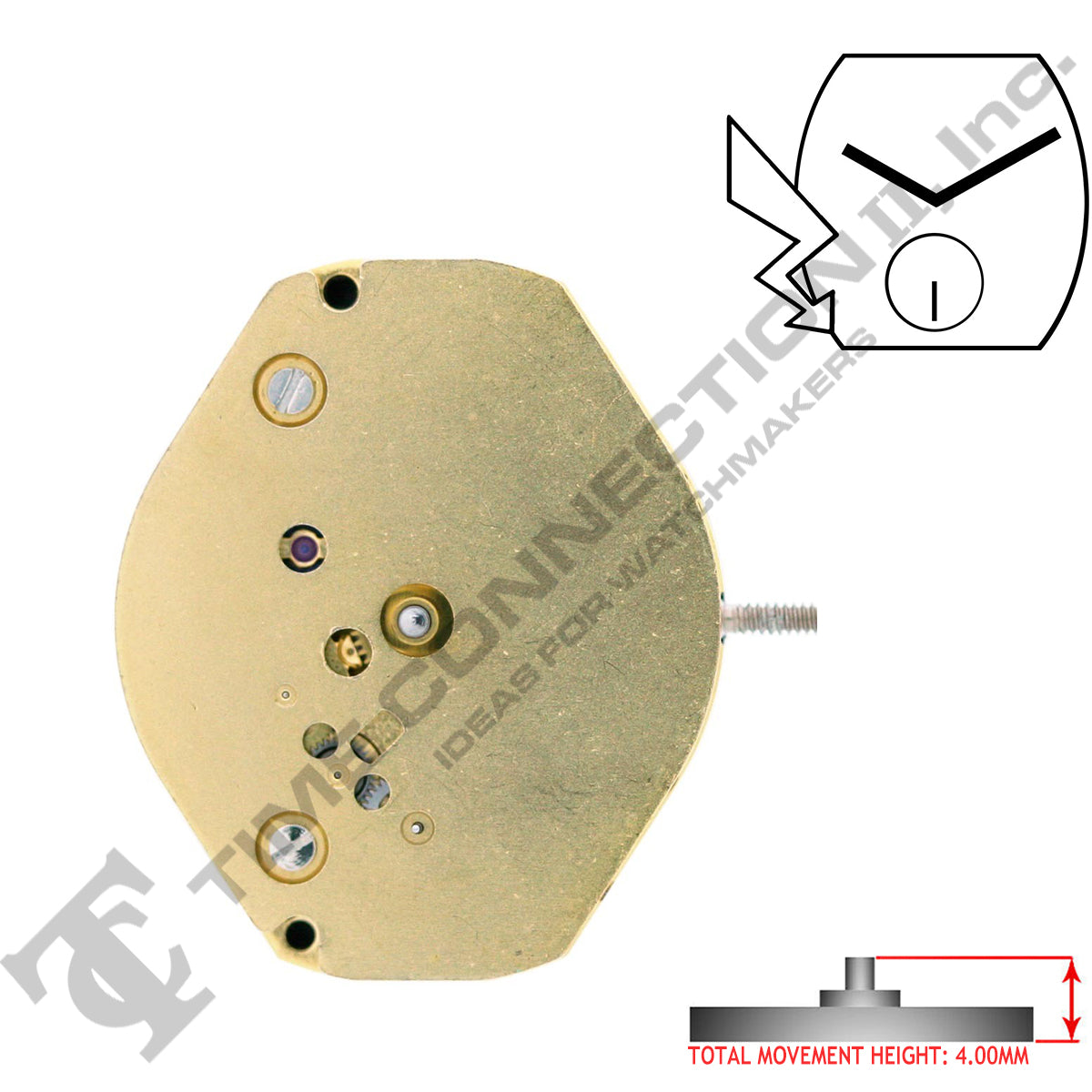 ETA 902.501 2 Hands Swiss Made Quartz Movement Ht. 4.00MM – Time ...