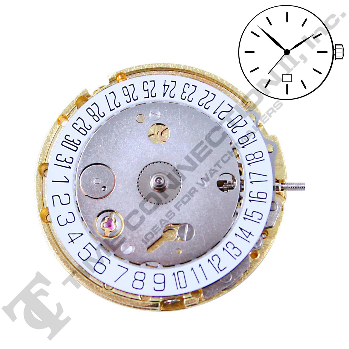 Chinese DG4816 Automatic Movement – Time Connection II, Inc