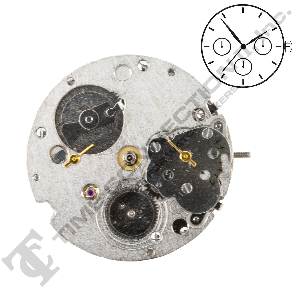 Chinese DG3836 Automatic Movement (Daytona) – Time Connection II, Inc