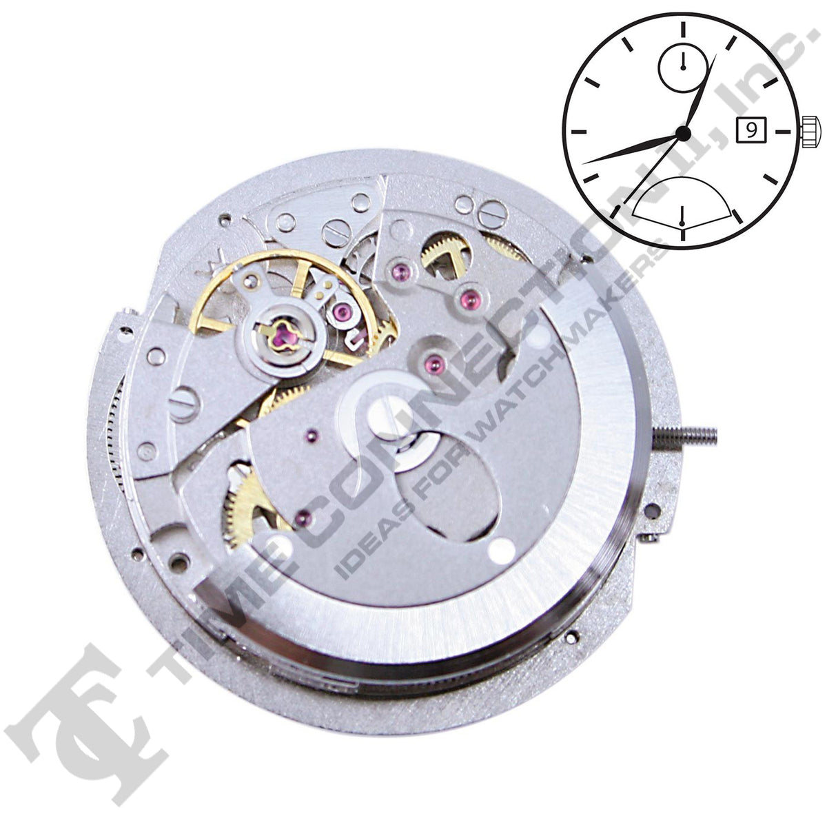 Chinese DG3886 Automatic Movement – Time Connection II, Inc