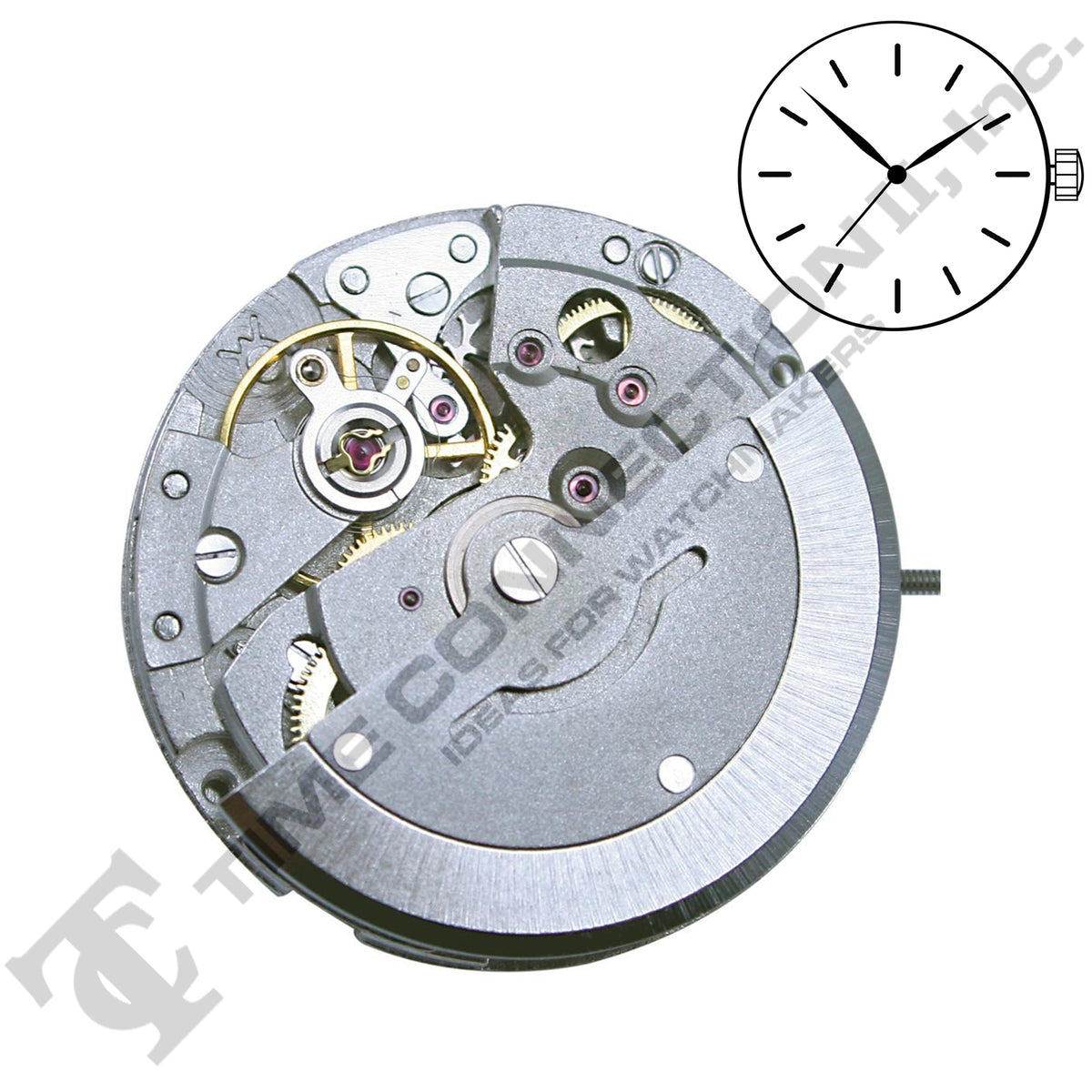 China 2800 Automatic Movement – Time Connection II, Inc