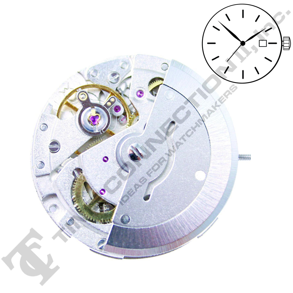 Chinese DG2813-D3 Automatic Movement Ht. 7.50MM – Time Connection II, Inc