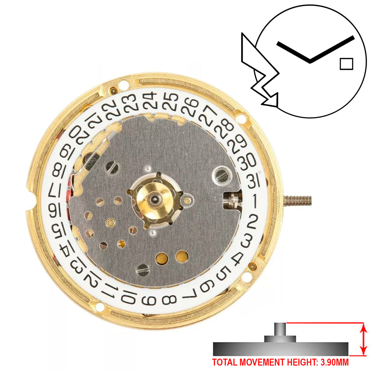 ETA F03.111 2 Hands Swiss Made Quartz Movement (Various Heights) – Time ...